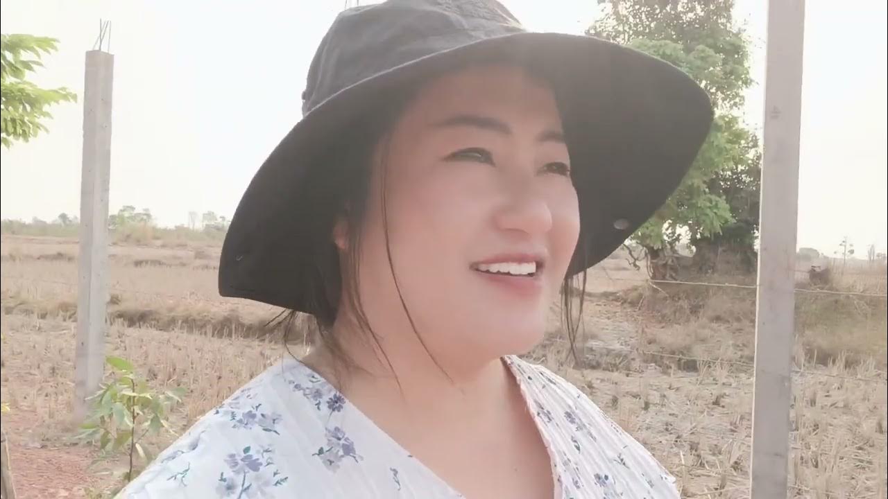 hnub no peb mu ntxov ntxov plog yuav tsa ncej tsev 10/3/2024 - YouTube