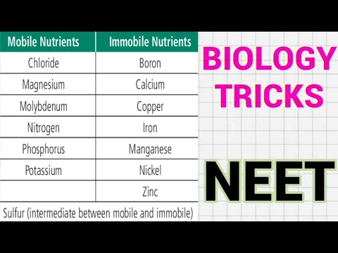 NEET biology trick#7 Immobile Elements In Plants - YouTube