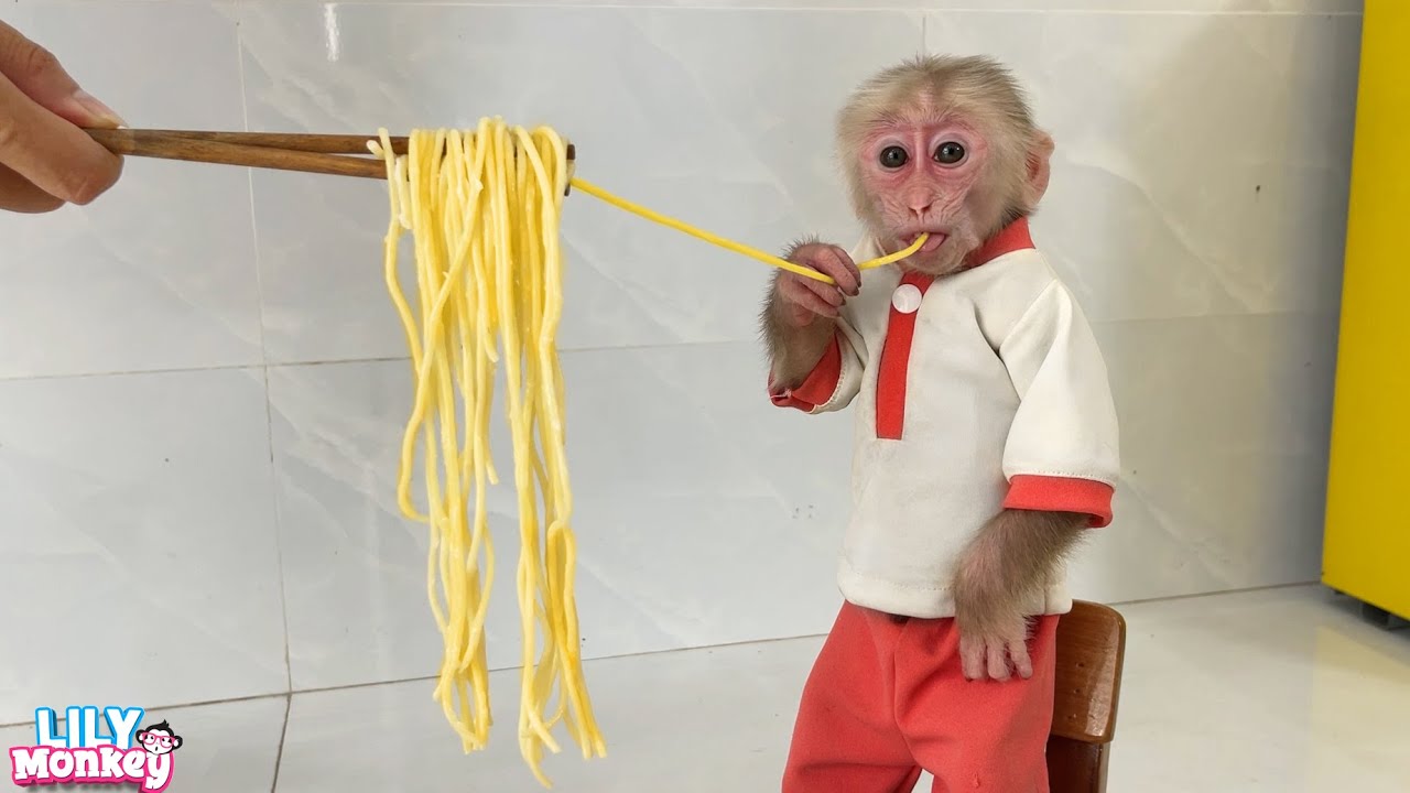 Monkey Lily obediently helps dad make noodles spaghetti - YouTube