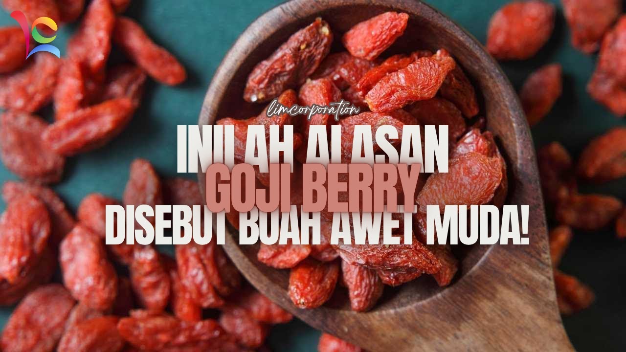 Rahasia Goji Berry Buah Kecil yang Kaya Manfaat untuk Tubuh! - YouTube