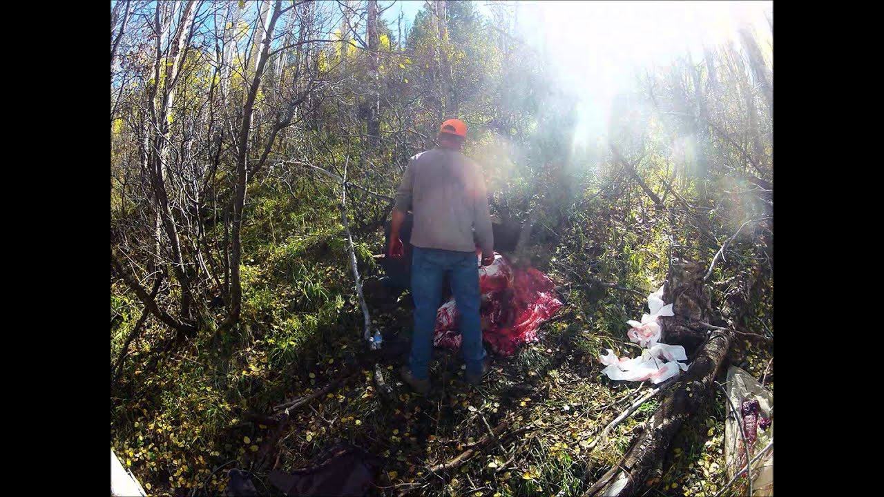 Debone Elk time lapse - YouTube