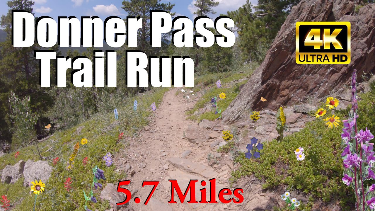 Virtual Trail Running Video for Treadmill | Donner Pass Trail ...