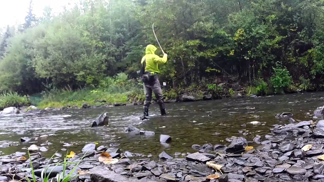 Sockeye Salmon on Tenkara - YouTube