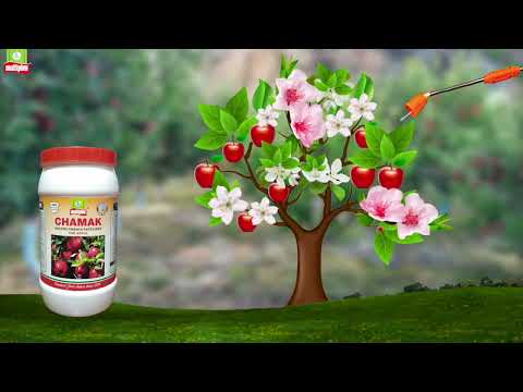 Multiplex Chamak I Micronutrient with Calcium and Boron