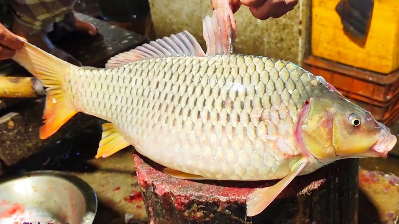 Amazing Cutting Skills | Big Carp Fish Cleaning & Chopping By Expert ...