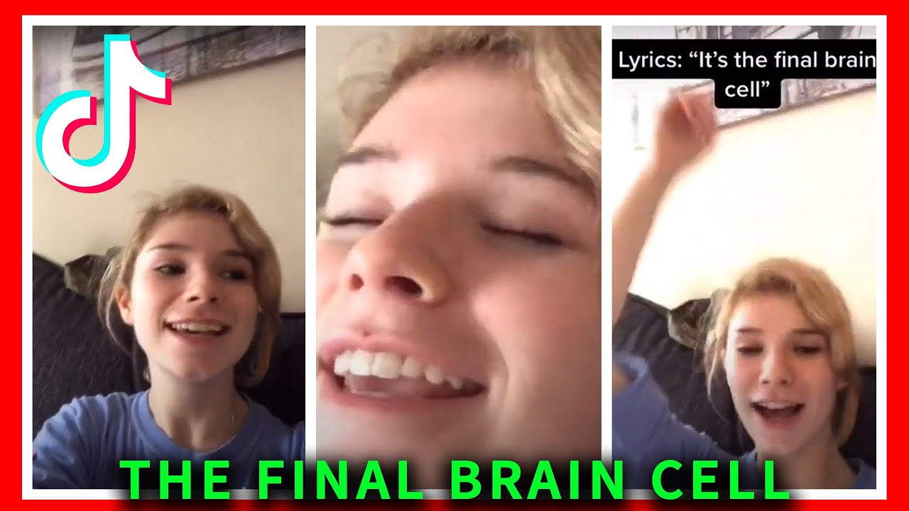 THE FINAL BRAIN CELL SONG / Trending Tik Tok compilations, NEW Best ...
