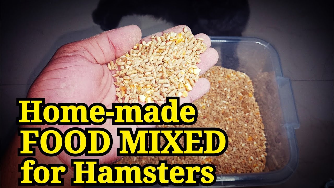Home Made Hamster Food Mixed (Simple Mix) - YouTube