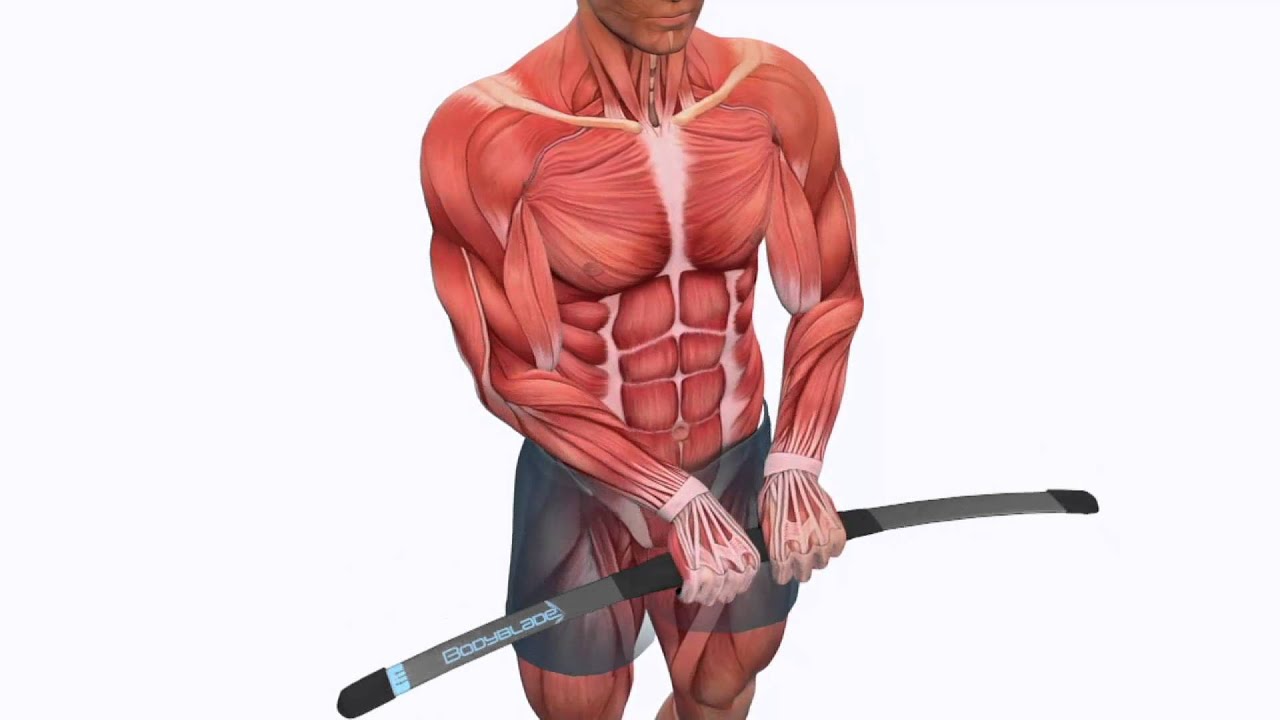 Bodyblade Total Results Fitness Program w/DVD, Chart & Guide on QVC ...