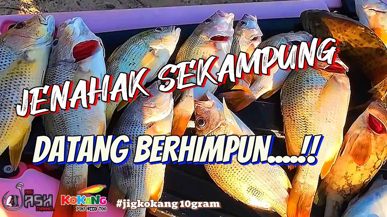 TIPS KETUK JIG 10 GRAM - MANCING JENAHAK KAT PULAU UPEH MACAM BELI KAT ...