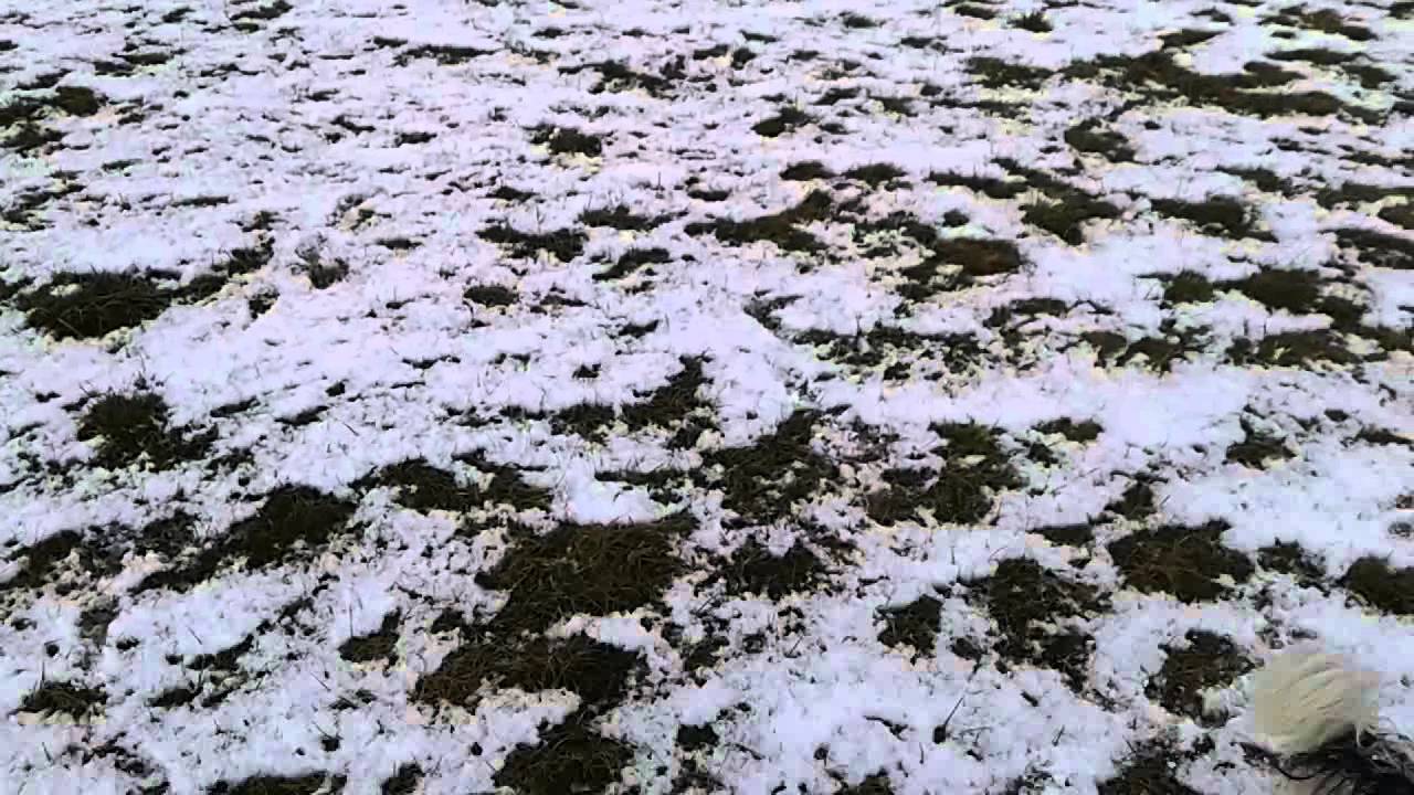 20150131 123840 - YouTube