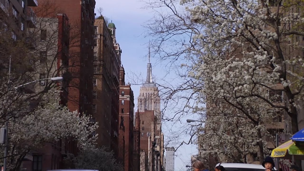 Felix Semper bringing new art to New York City - YouTube