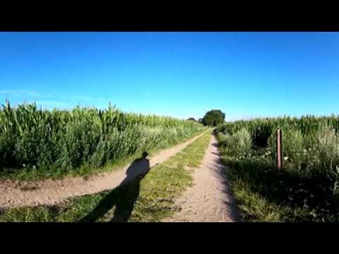 Wandeling Enghenbergsteeg de Engh Soest 360 - YouTube