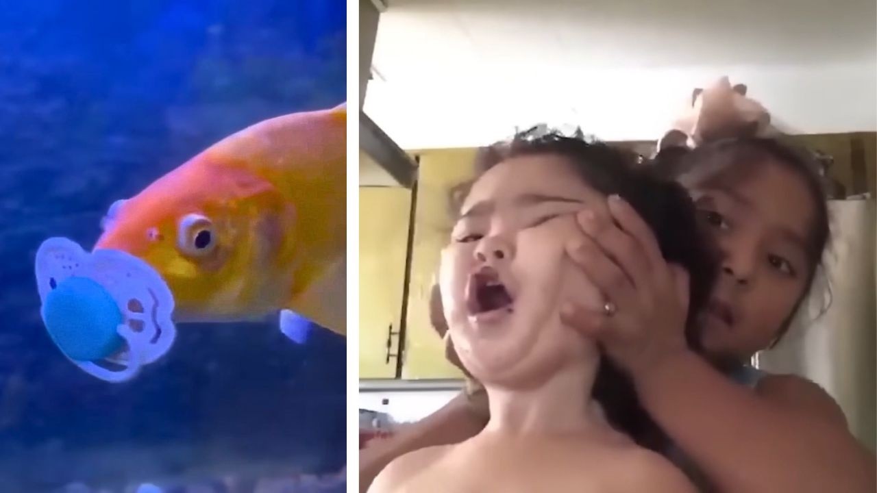 😂🔥 Les pires ratés filmés en direct | Compilation de Fails Épiques et ...