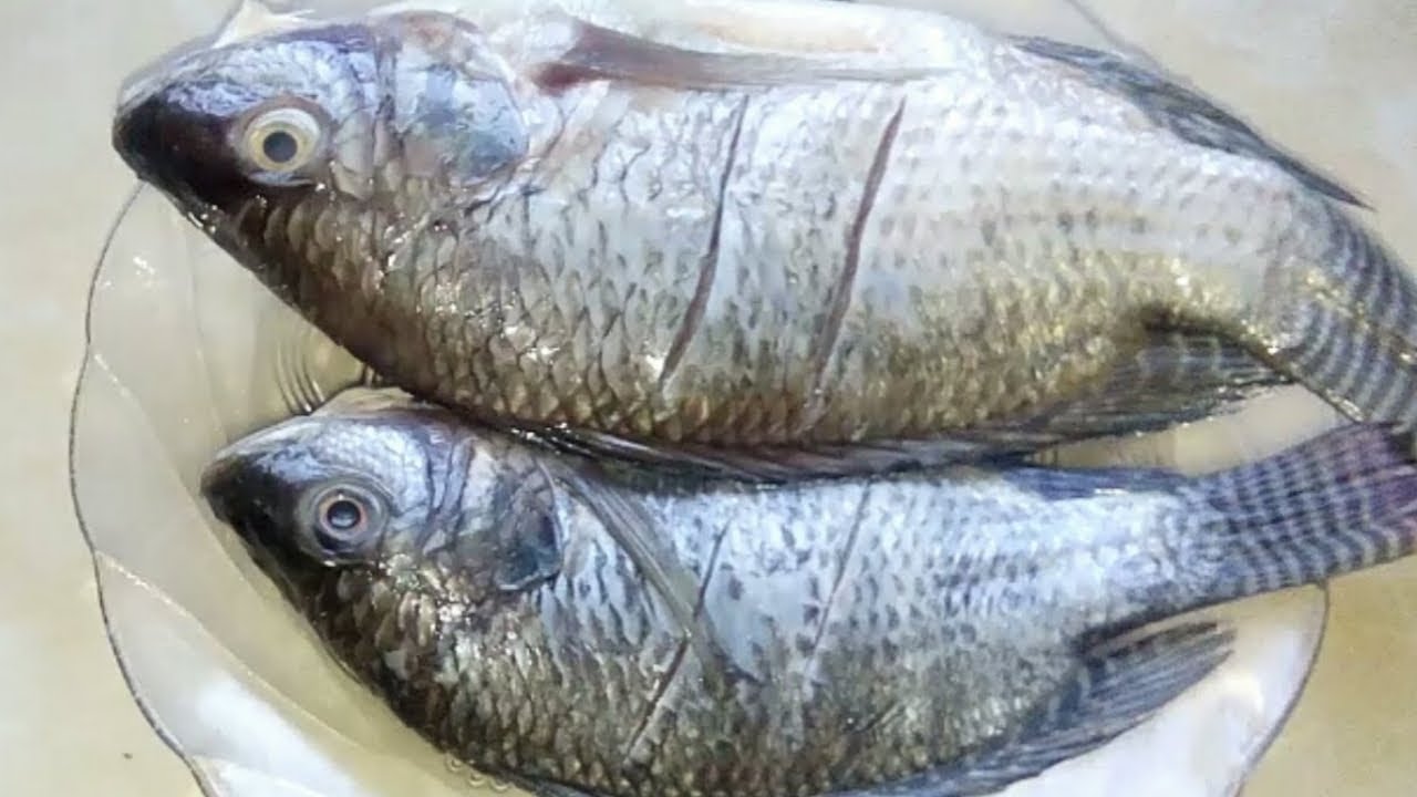 Resep Ikan Simpel Dan Lezat - YouTube