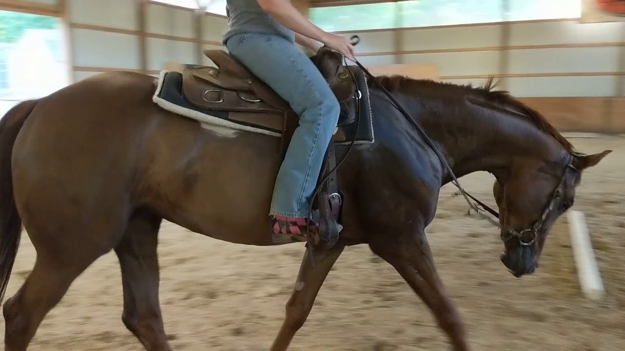 Macy Youtube