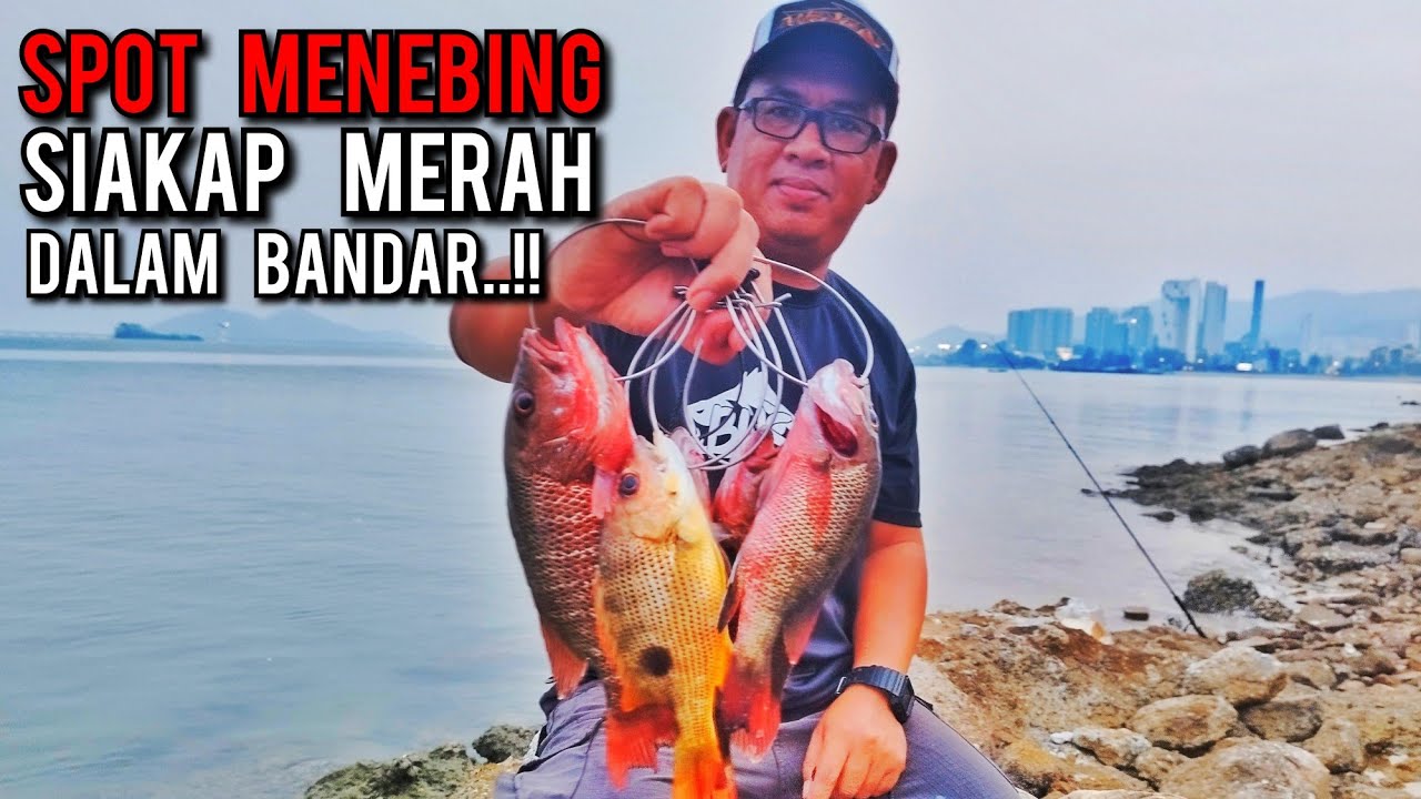 SPOT MENEBING PALING BEST | LUBUK SIAKAP MERAH - YouTube