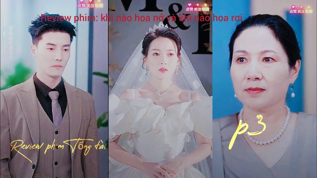 P3| phim khi nào hoa nở và khi nào hoa rơi - YouTube
