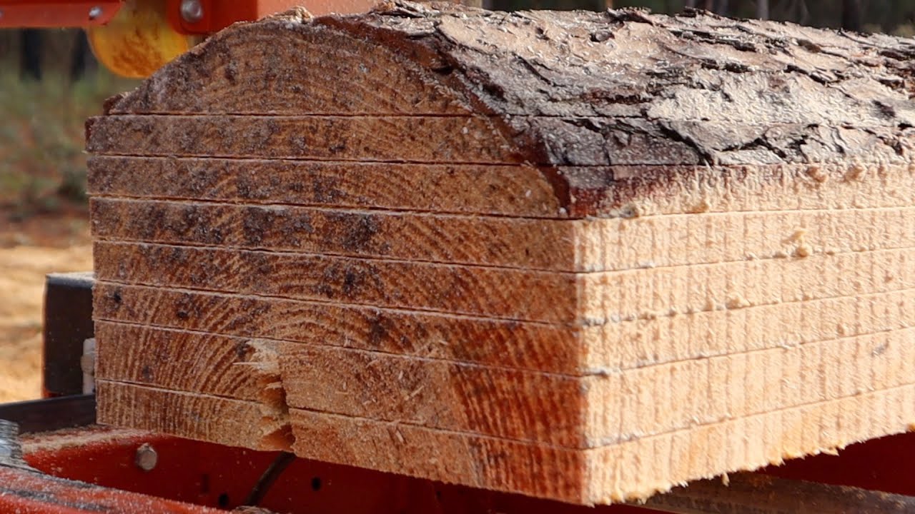 Turning a HUGE Pine Log into Perfect Boards - YouTube