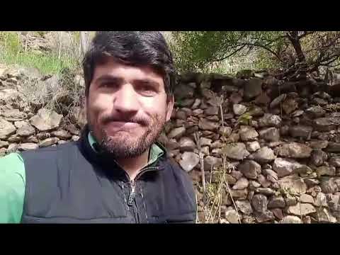 Samad mama ak yahudii Islam qabol karni ka video