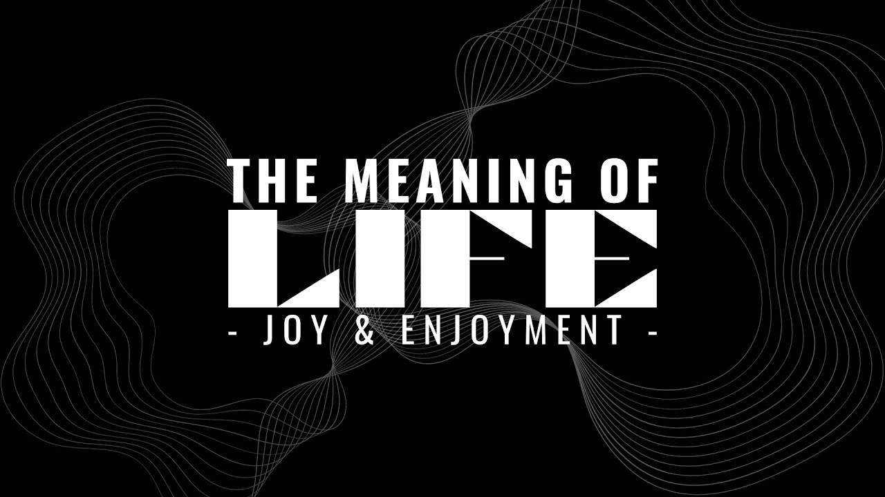 MEANING & LIFE • JOY AND ENJOYMENT • GRAHAM REIMER - YouTube