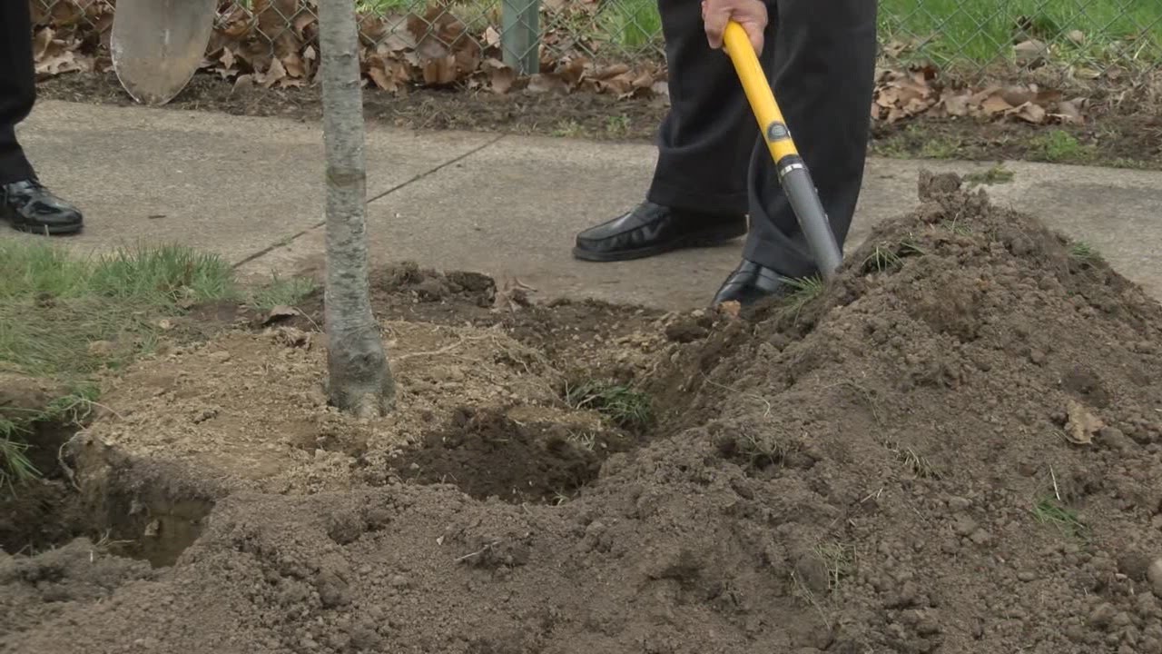 Planting trees in celebration of Earth Day - YouTube