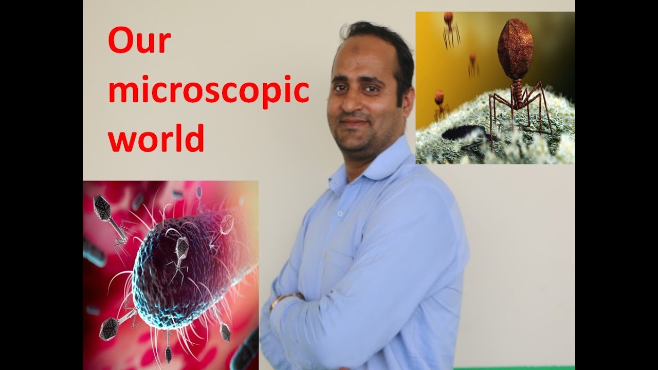 Microscopic Amazing World - YouTube