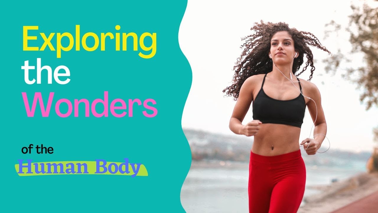 Exploring the Wonders of the Human Body || BNHEALTH - YouTube