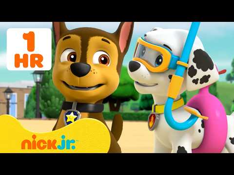 Patrulha Canina | Missões de Resgate na Praia! 🔥🌊 c/ Chase & Marshall | 60 Minutos | Nick Jr.