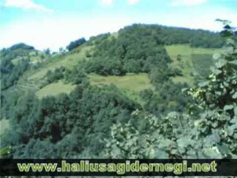 Halilusagi Koyu Tanıtım
