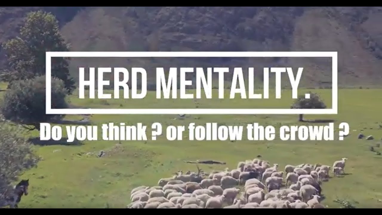How to prevent : Crowd Mentality- Herd Mentality - YouTube