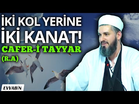 İki kolunun yerine iki kanat verilen sahâbe! - CAFER-İ TAYYAR (R.A)