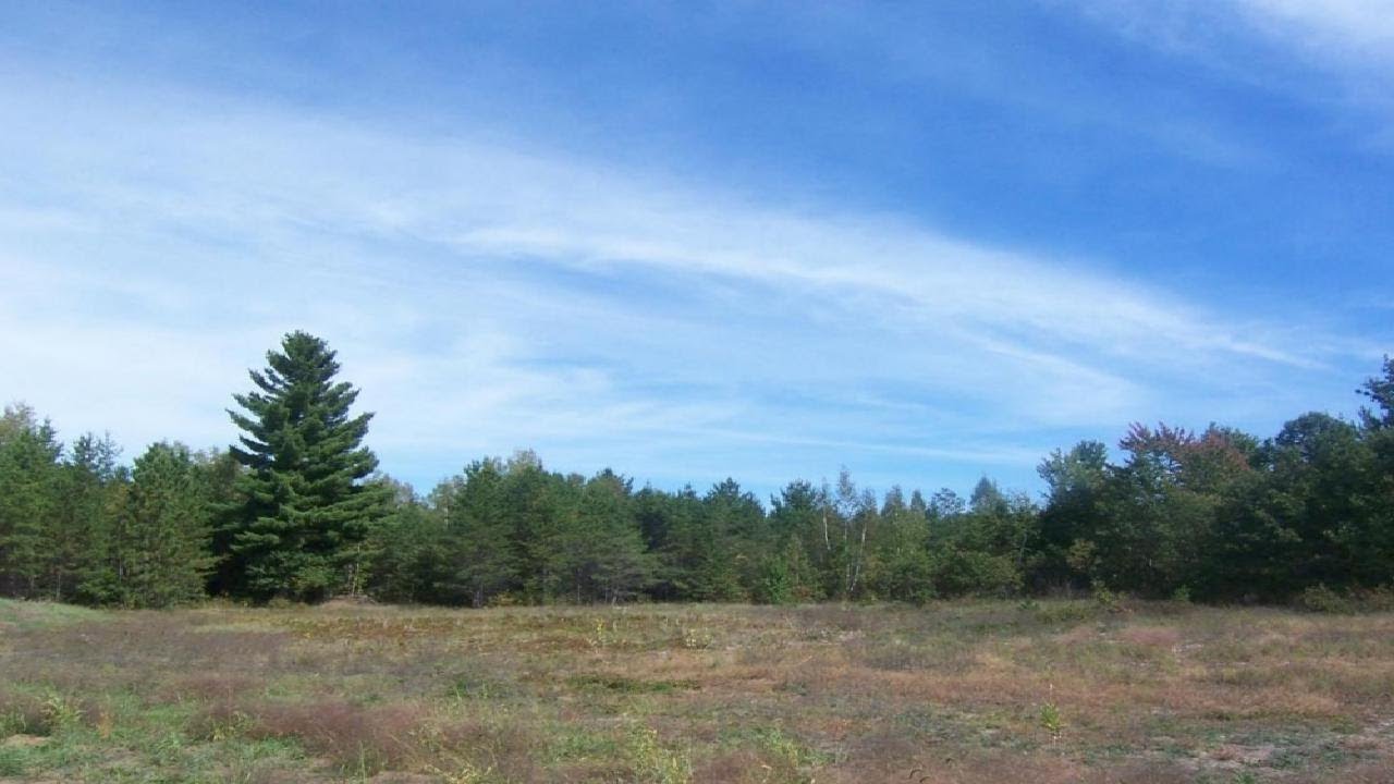 Lot 8 Black Brook Road, Webster, WI Presented by Deb Hitchcock-Gale ...