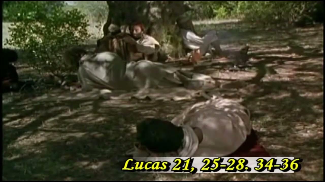 lucas 21, 25-28. 34-36 evangelio diciembre 01 2024 - YouTube