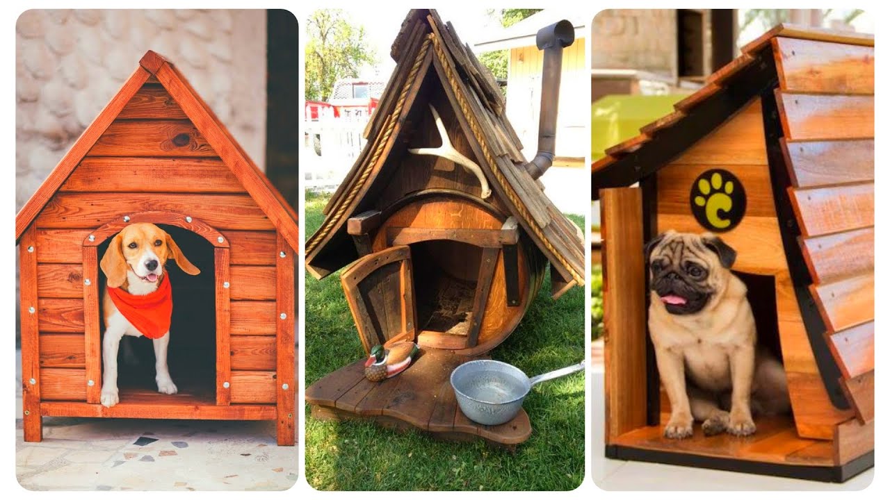 Best Dog House Design & Ideas | Indoor & Outdoor Cool Puppy House | DIY ...
