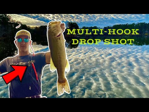 Fishing A Multi-hook Drop Shot Rig For Bass(Crazy Outcome)! - YouTube