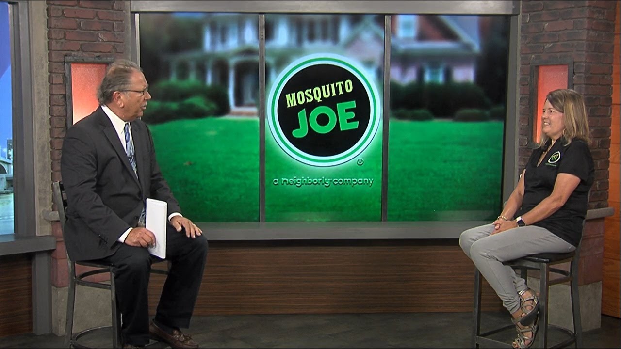 This Morning - Mosquito Joe of Chattanooga - YouTube
