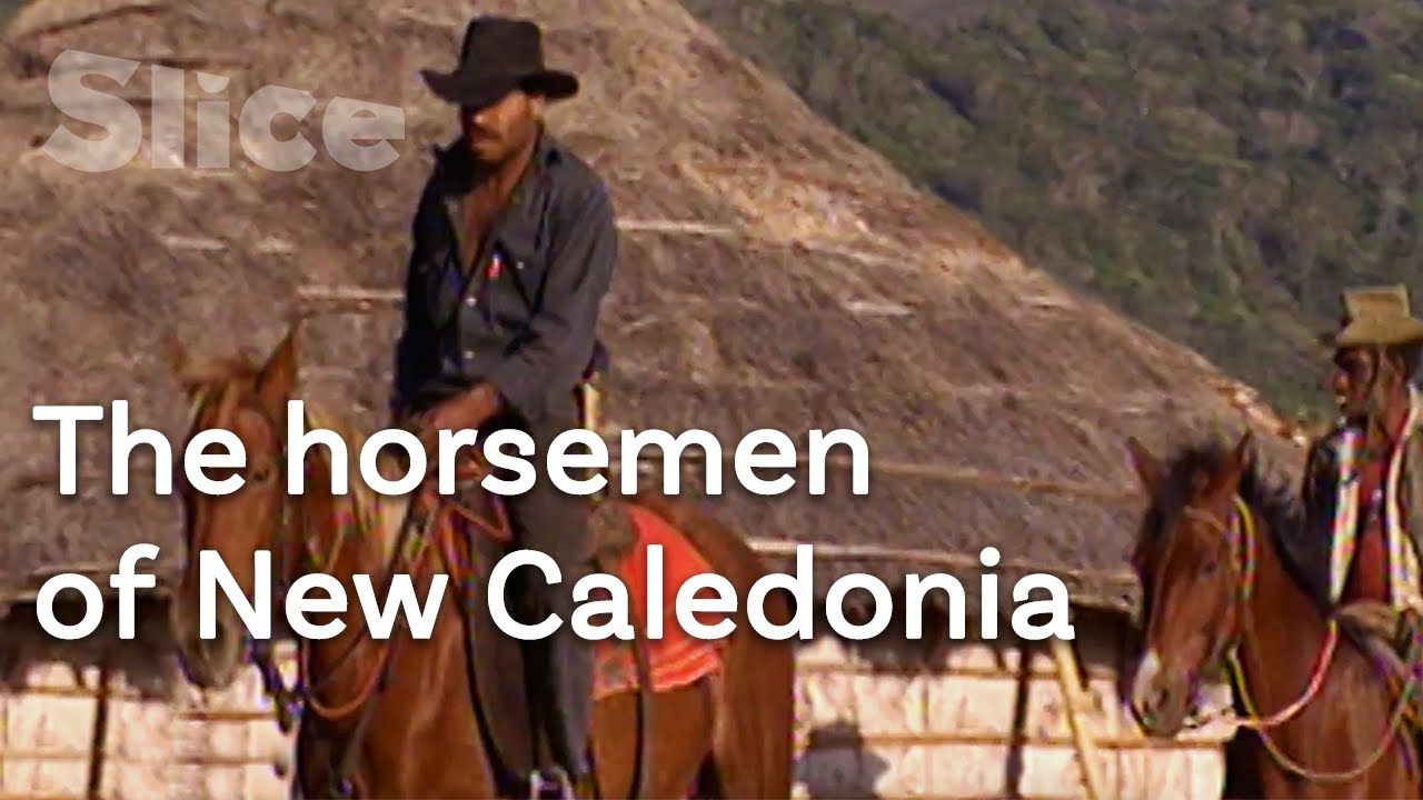 Most talented stockman of New Caledonia | SLICE - YouTube