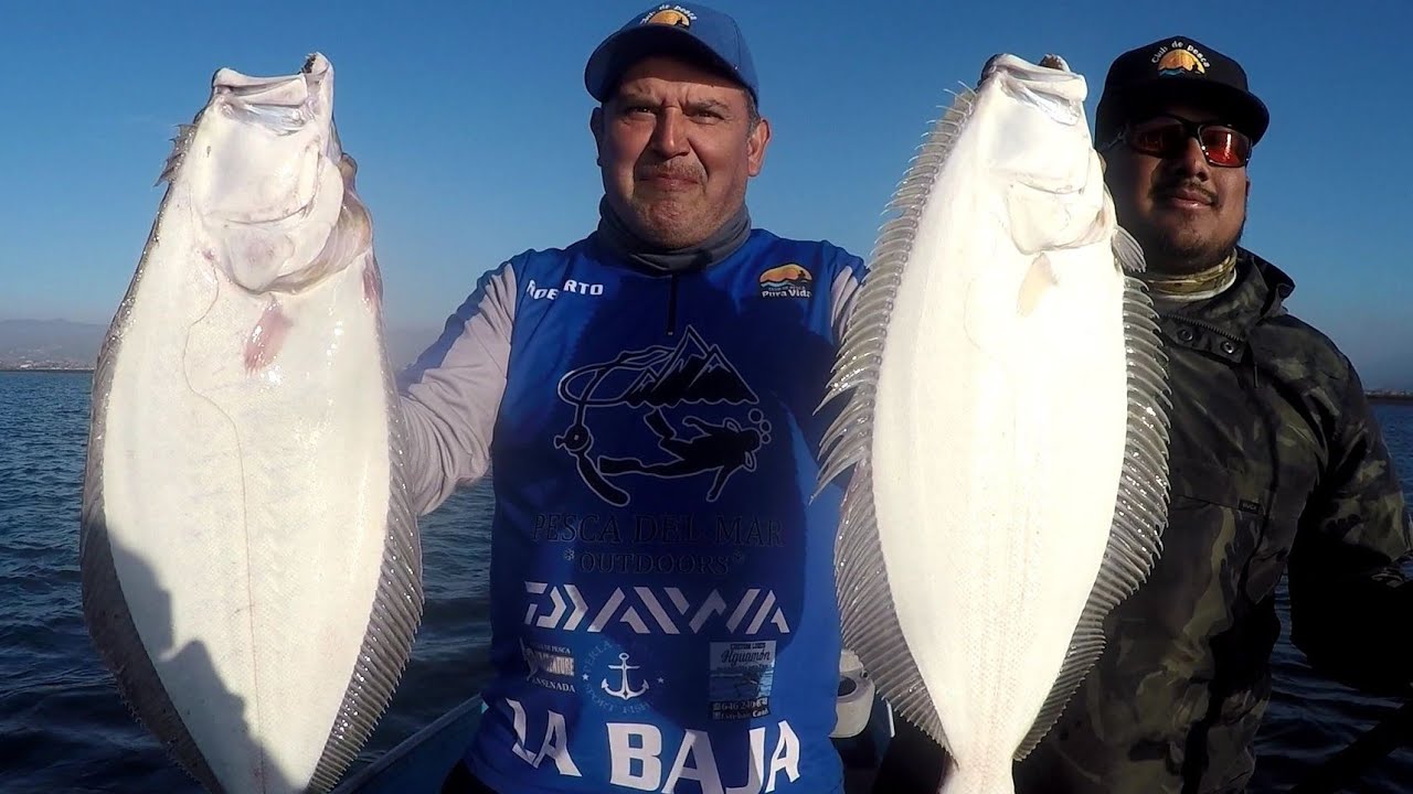 Excelente pesca con Amigos en el Estero Beach Ensenada B.C. Mexico ...