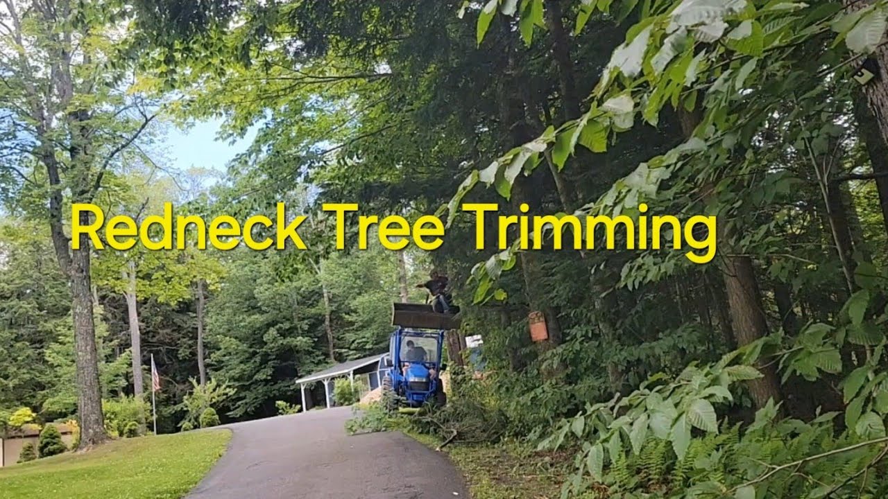 Redneck Tree Trimming - YouTube