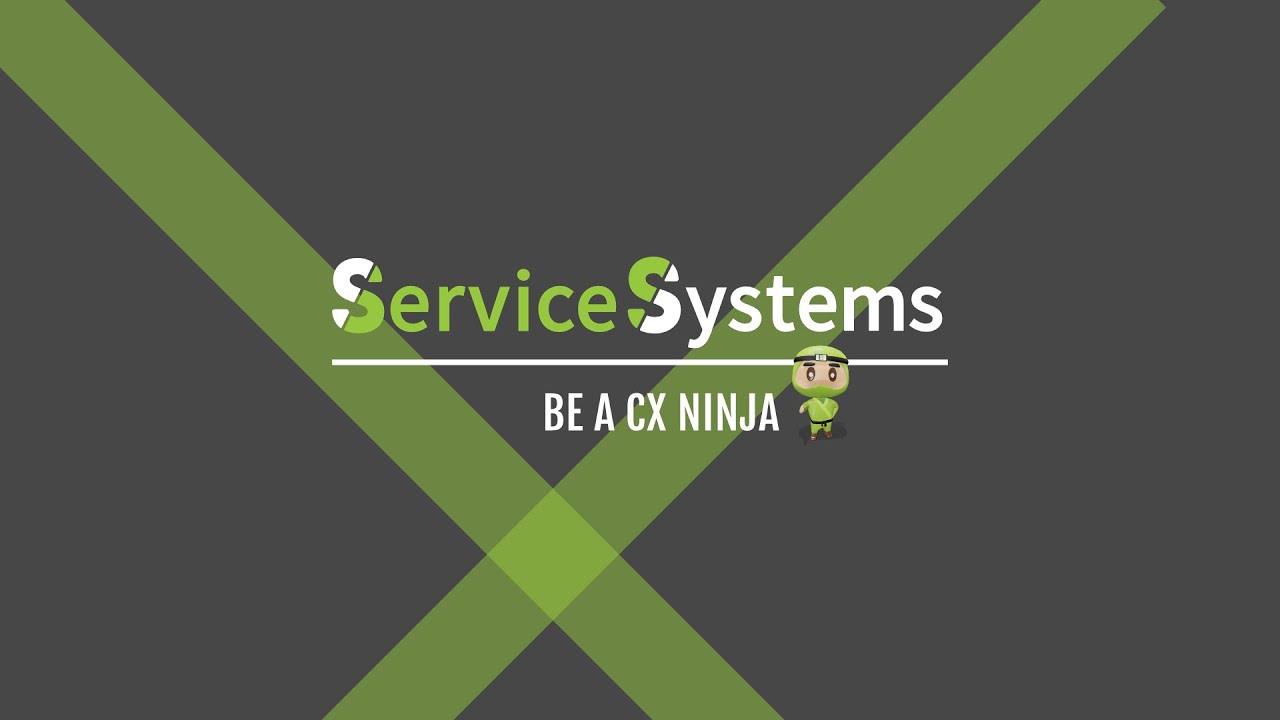 Service Systems | Be a Customer Experience Ninja - YouTube