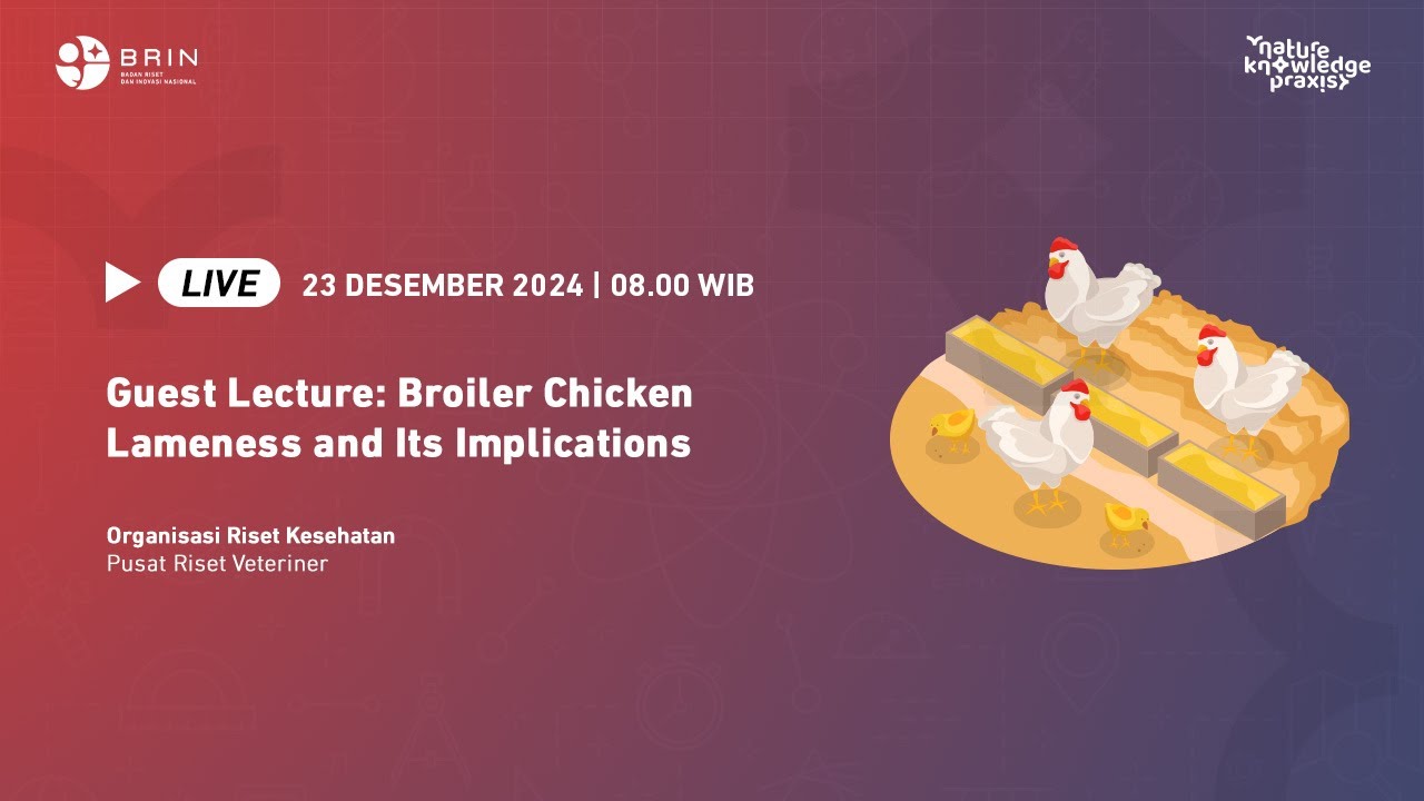 Guest Lecture: Broiler Chicken Lameness and Its Implications - YouTube