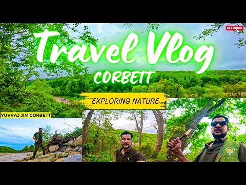 CORBETT KE JUNGLON MAIN TREKKING 😍 NATURE BEAUTY OF JIM CORBETT ️# ...