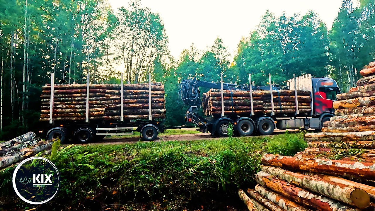 Calmly loading birch logs. Timber Loading - YouTube