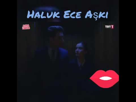 Haluk ece