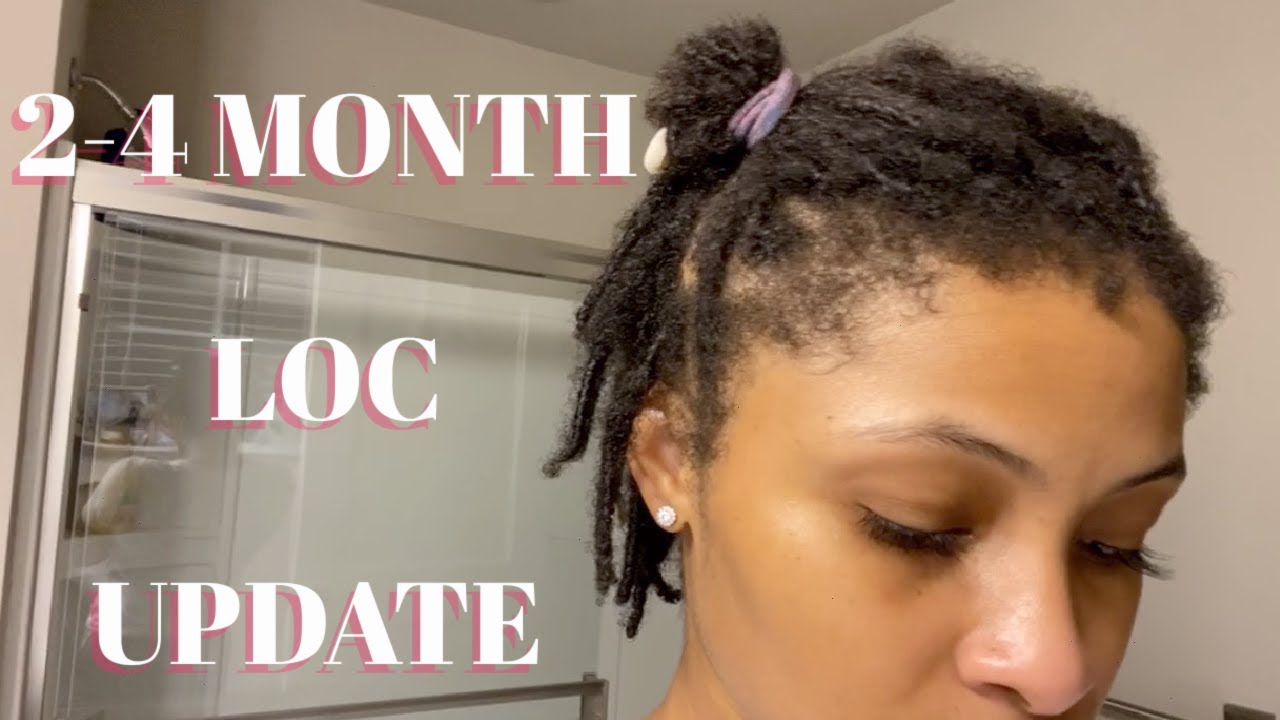 2-4 MONTH LOC UPDATE | STARTER LOCS!!! #LocJourney #StarterLocs - YouTube