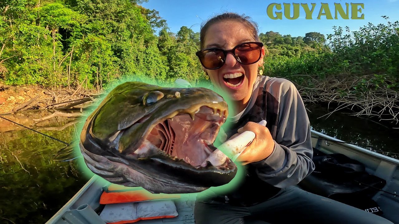 Elle pêche des poissons préhistoriques en Amazonie Française ! - Guyane ...