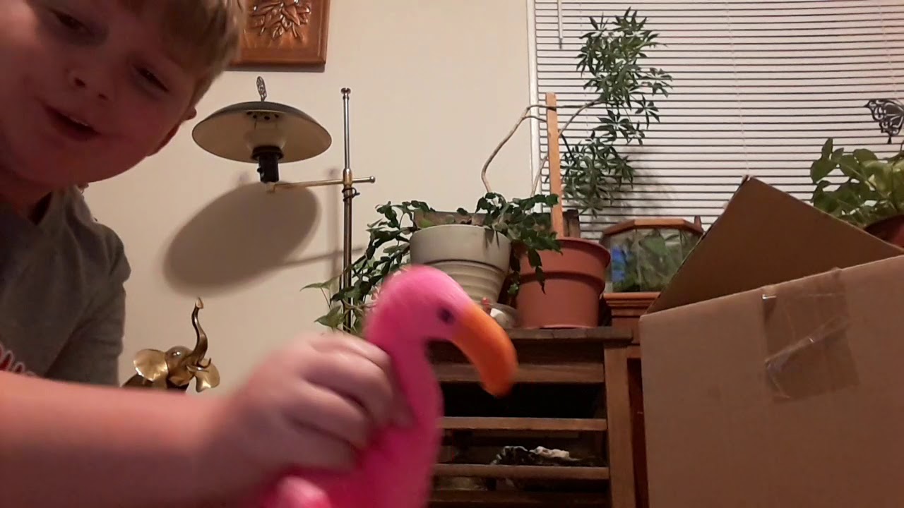 the flamin show intro - YouTube