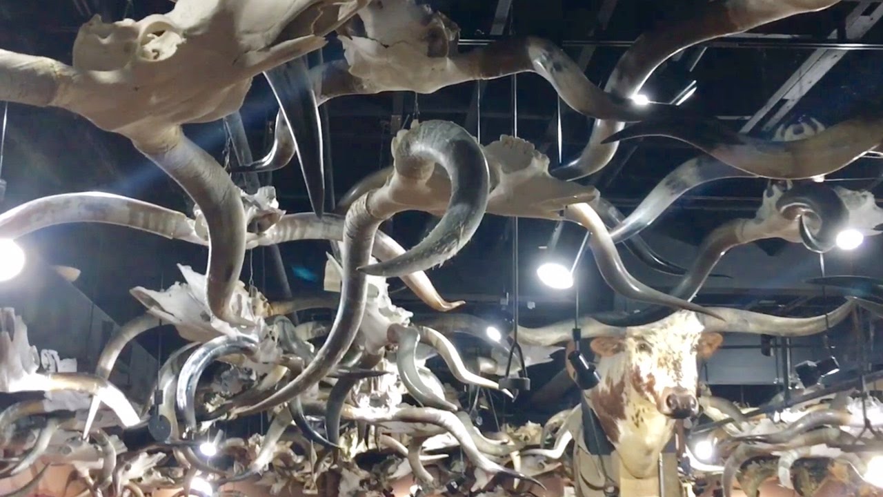 TDW 1658 - Unsettling Room Of Skulls ! - YouTube