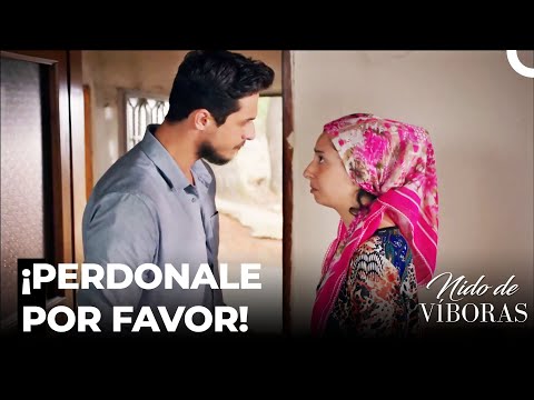 La Esposa De Riza Le Roga Ayuda A Ejder - Nido De Víboras Capitulo 23 (Dobladas en Español)