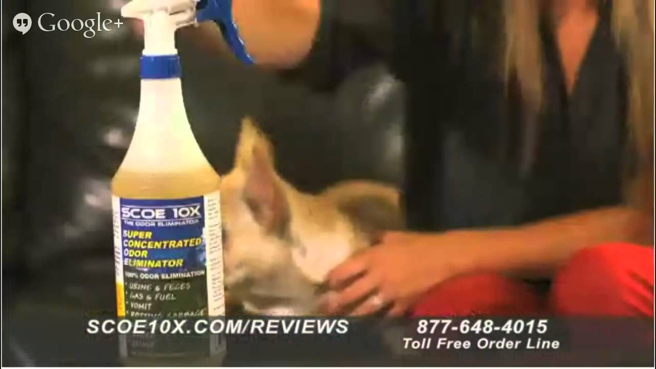 Call 877-648-4015 for Reviews for Biofog SCOE Best Odor Eliminator ...